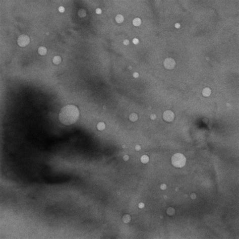 Synthetic Cavity Segmentation Instance Segmentation Dataset By Tamu Ece