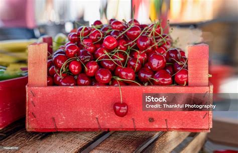 붉은 나무 상자에 잘 익은 체리 여름 베리입니다 건강한 식습관의 개념 복사 공간 과일에 대한 스톡 사진 및 기타 이미지 과일 화물운반대 상자 Istock