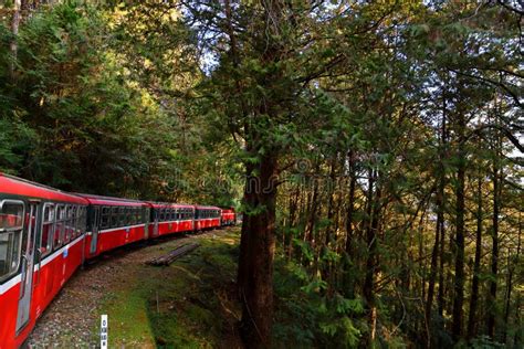 Alishan National Forest Recreation Area Situated In Alishan Township