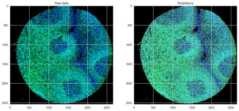 SPACEc Cell Segmentation SPACEc Post Dev Gf Cbed Documentation