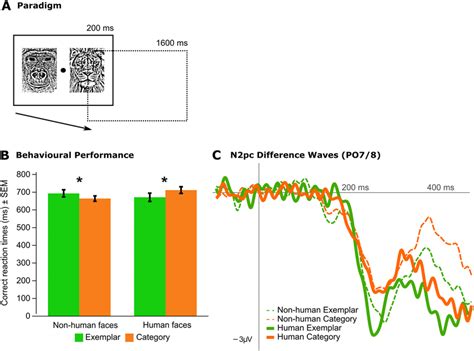 Visual Search Task A Sample Visual Search Trial Participants Download Scientific Diagram