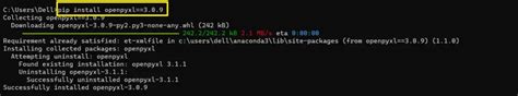 Modulenotfounderror No Module Named Openpyxl SOLVED