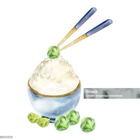 아시아 완전 채식주의 자 음식 수채화 그림입니다 녹색 양배추와 젓가락을 곁들인 손으로 그린 도자기 파란색 그릇 쌀 비건 그릇 브뤼셀 양배추 메뉴 레스토랑 카페 디자인 개체