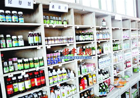 青岛：青菜任意喷撒农药 用药量由虫来决定 中国供销合作网