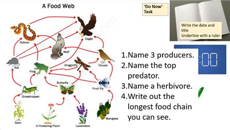 Ks3 Science Starter Questions Teaching Resources