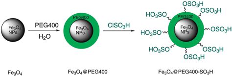 Synthesis Of Fe3o4 Peg400‐so3h Magnetic Nanoparticles Mnps Download Scientific Diagram