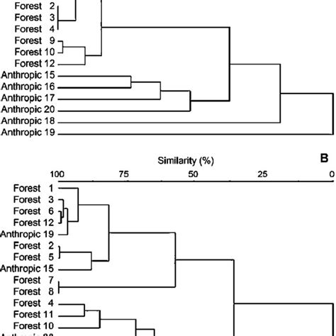Similarity Dendrogram Sorensens Similarity Index Unweighted Pair
