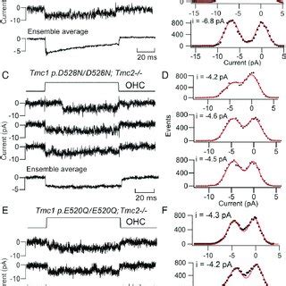 Single MET Channel Currents In Apical OHCs Of Tmie Knockouts A Tmc Download Scientific