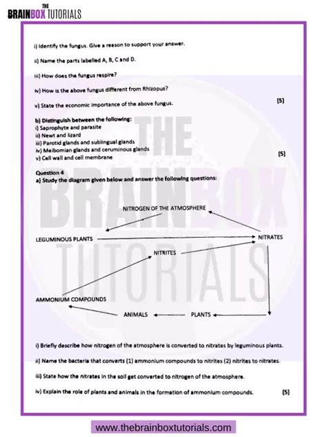 ICSE Class 9 Biology Sample Paper For 2020 2021 The Brainbox Tutorials