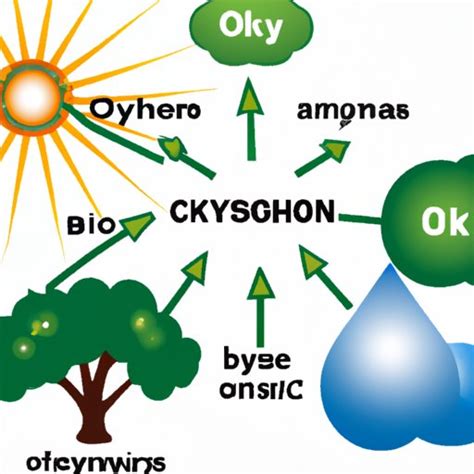 Exploring The Science Of Oxygen How Does It Work The Enlightened Mindset