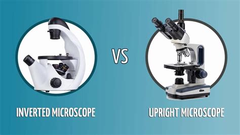 Inverted Vs Upright Microscope Which To Choose Optics Mag