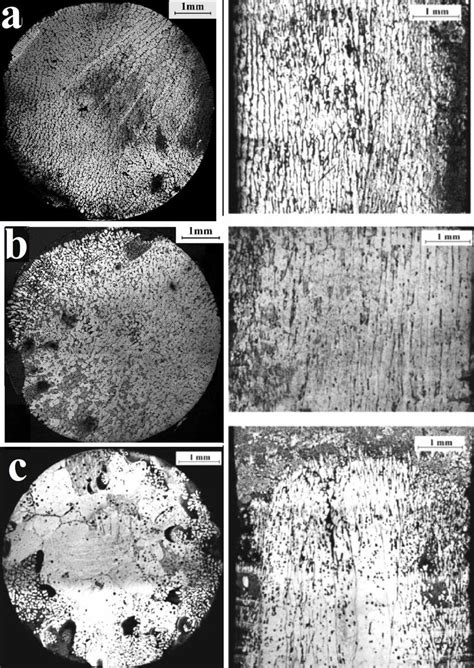 4 Directionally Solidified Sn 10 Wt Pb Alloy A 10 µm S B 2 µm S Download Scientific