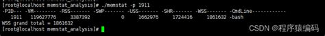 linux下c c 实现进程内存使用分析工具（memstat） csdn博客