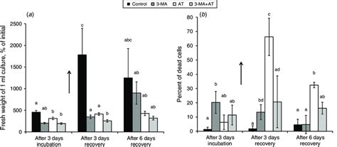 Time Course Analysis Of Cell Growth And Viability Of By 2 Cell Download Scientific Diagram