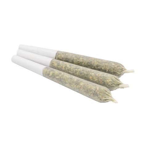 Mod Premium Pre Rolls New 10 Pack My Ottawa Delivery