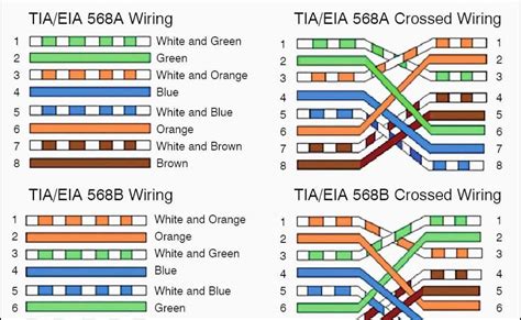 A Step By Step Guide To Wiring An Ethernet Socket