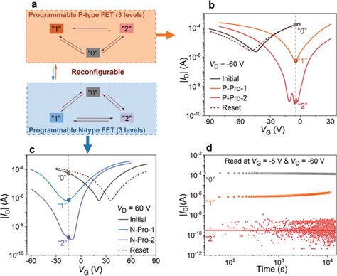 Reconfigurable Ambipolar Transistors With Uniformly Or Non‐uniformly Download Scientific