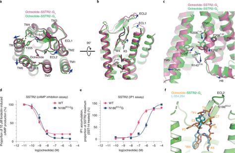 Molecular Basis Of The Selective G Protein Signaling Ac Structural
