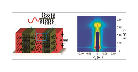 Hierarchical Assemblies Of Block Copolymer Based Supramolecules In Thin