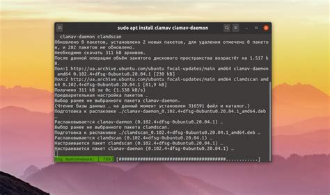 Установка Clamav в Ubuntu Losst