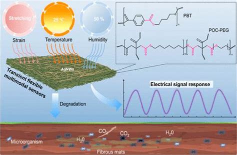 基于可降解纤维纳米复合材料垫的瞬态柔性多模态传感器，用于监测应变、温度和湿度 Acs Applied Polymer Materials X Mol