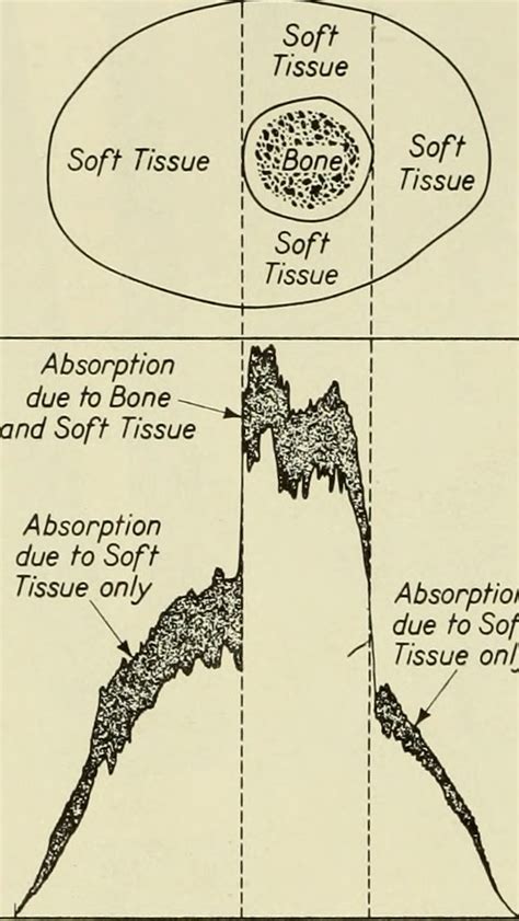 Science Simplified Making Complex Concepts Understandable Ingame Education