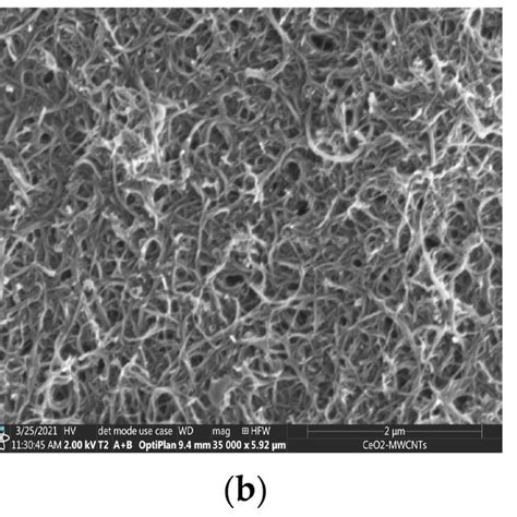 Sem Images On Scale Of 2 µm A V Mwcnts B Ce Mwcnts C V Ce Mwcnts Download Scientific