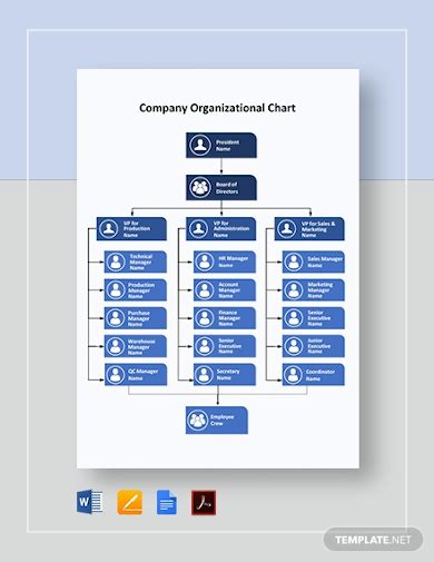 Company Organizational Chart 17 Examples Format Pdf