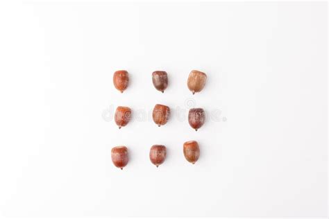 nine acorns without caps are arranged in a 3x3 grid on a white background top view image of