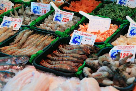 Alimentos Prohibidos En Cada Religión El Judaísmo