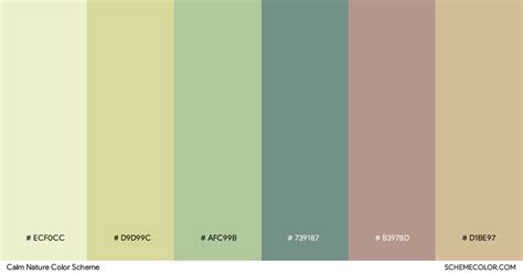 Explore The Best Calming Color Scheme Collection Blog