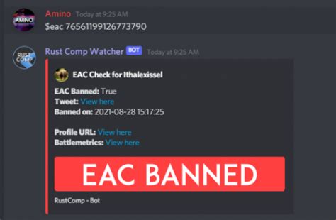 Server Supporter Bot Discord Bots Codefling