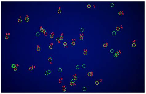 Software Application For Automatic Detection And Analysis Of Biomass In Underwater Videos