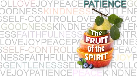 The Fruit Of The Spirit Patience The Journey At First Baptist