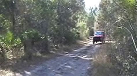 Stuck In Sloppy Mud Stuck In Bondage Clips Sale