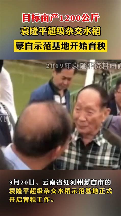 目标亩产1200公斤，袁隆平超级杂交水稻蒙自示范基地开始育秧袁隆平凤凰网视频凤凰网