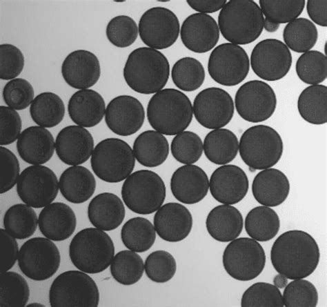 Embolic Agent Cd Bioparticles