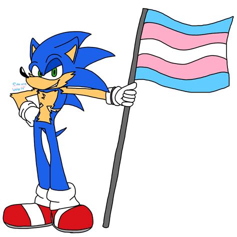Sonic Hates Oppressors By Smugwolf On Deviantart