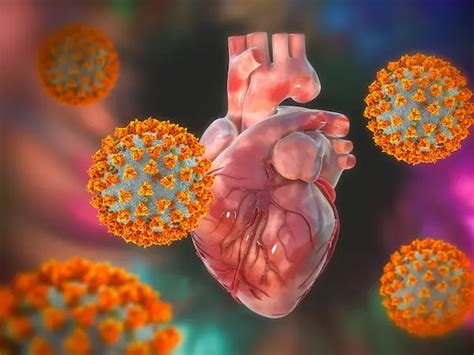 Cardiovascular Outcomes Show Age Based Sex Differences In Patients Infected With Sars Cov 2