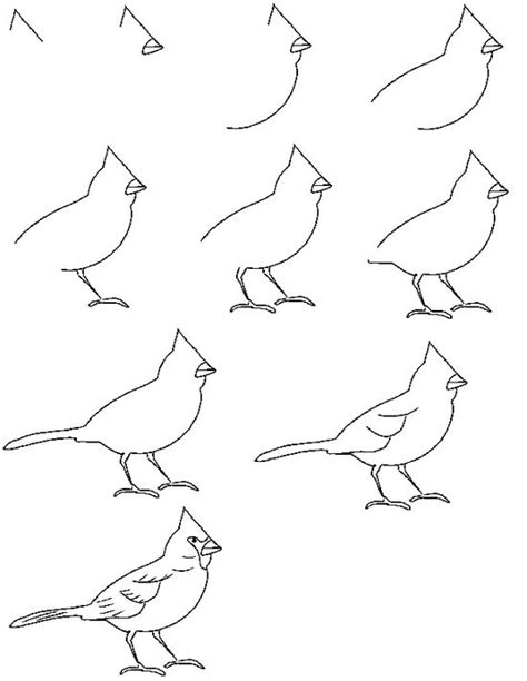 Birds Dwg Free Cad Blocks Download Cad Blocks Cad Drawing Vector