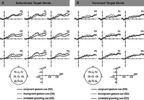 Presentation Of The Erps Time Locked To The Target Word In Two Sets Of