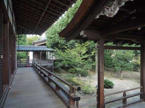 大覚寺、庭の綺麗なお寺です。 久しぶりに訪ねました。 山の花は友達
