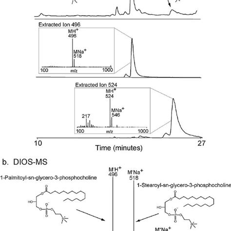 Gc Ms Fragmentation Pattern Of Methylated Edta Inset Sim Tic Of Download Scientific Diagram