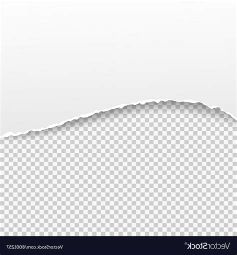 Torn Paper Texture Vector At Collection Of Torn Paper Texture Vector Free For