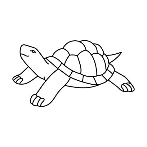 Cute Cute Vector Turtle In Doodle Style 11959818 Vector Art At Vecteezy