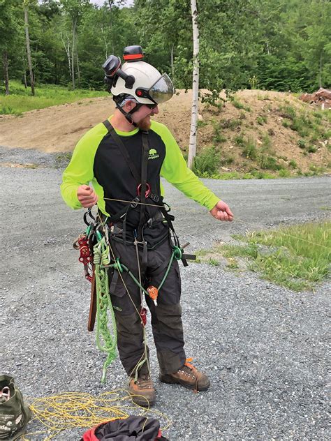 Tools Of The Trade For Tree Climbing Tree Care Industry Magazine