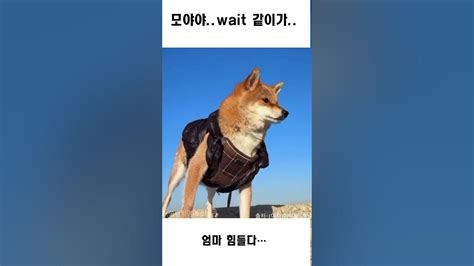 모야야…wait ️ 알고리즘제발 여자아이들 아이들 코믹 ㅊㅊ 알고리즘 알고리즘제발 알고리즘아부탁해 Kpop 미연 민니 소연 우기 슈화 웃긴영상 Youtube