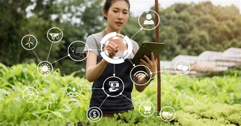 Data Driven Farming Leveraging Iot Analytics For Informed Decision
