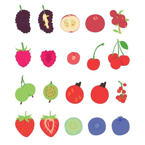 Premium Vector Collection Of Various Hand Drawn Flat Colored Berries Isolated On A White