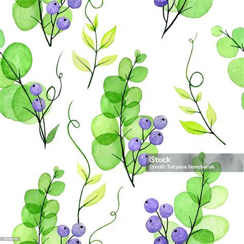 손으로 수채화 그리기 비시아 크라카 녹색 투명 잎과 보라색 열매의 잎과 가지의 원활한 패턴 귀여운 여름 프린트 에 빈티지 스타일 에 화이트 배경 0명에 대한 스톡 벡터 아트
